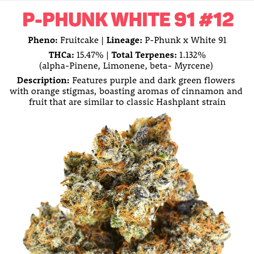 Behind the Strains: P-Phunk White 91 #12