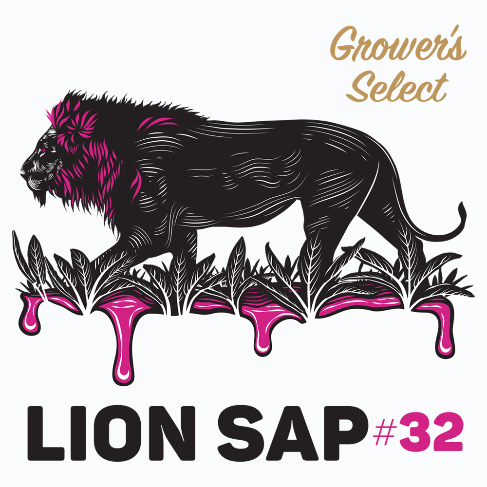 Grower's Select Spotlight: Lion Sap #32 Grower's Select Spotlight: Lion Sap #32